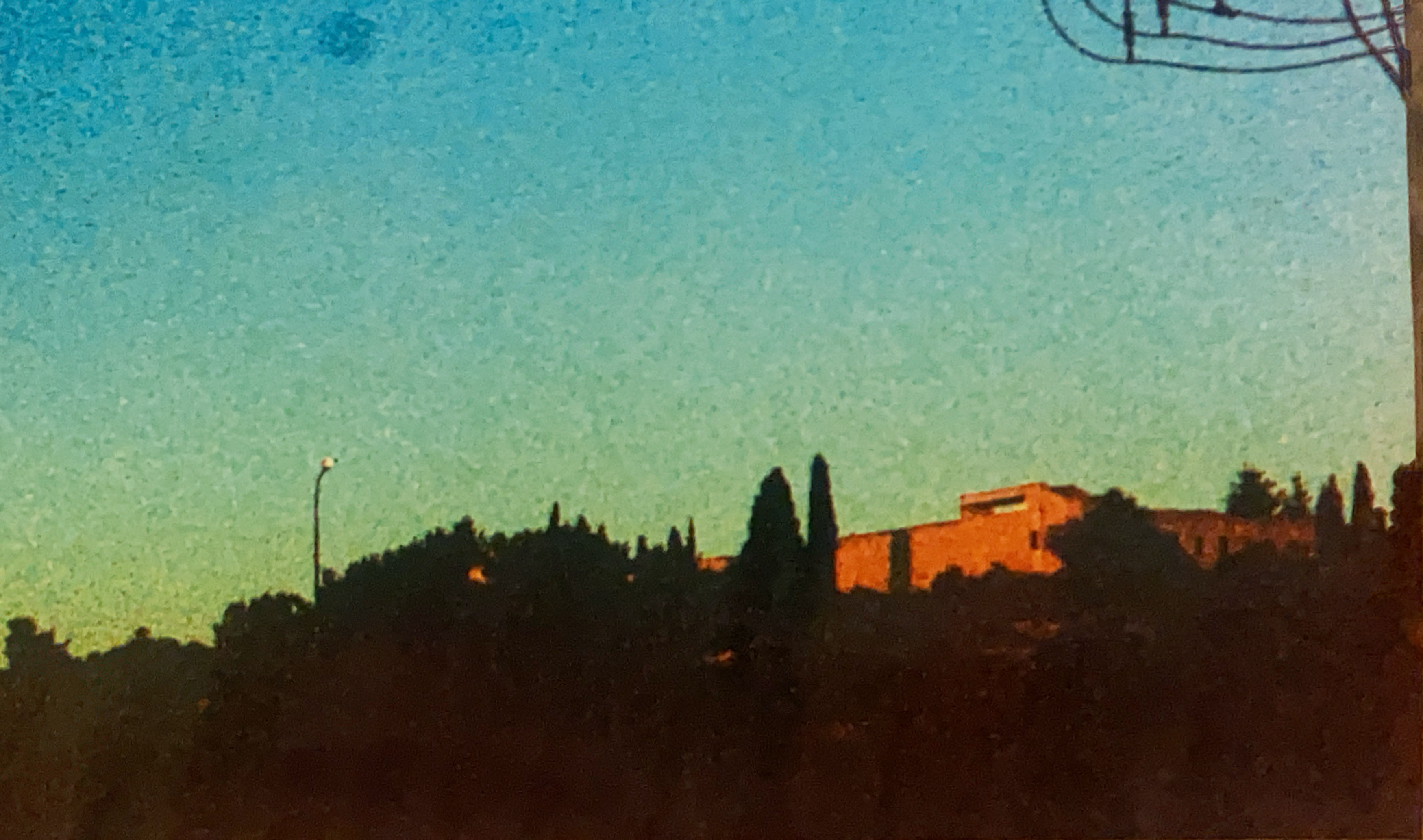 Renée Darline Roden © 2024