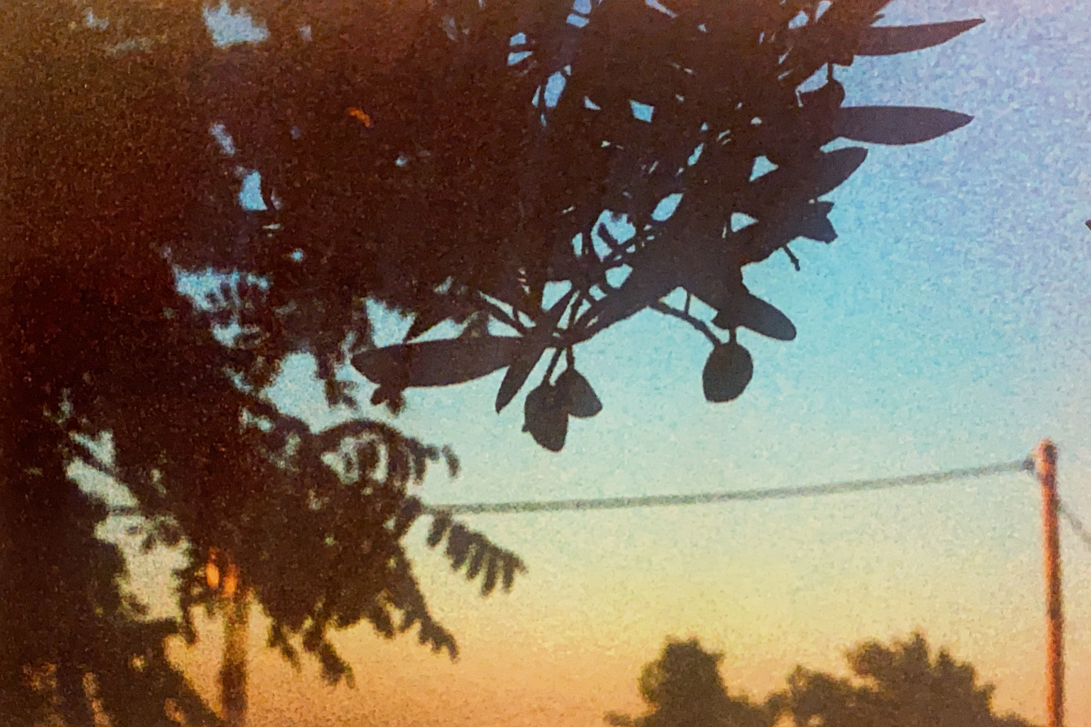 tantur – Renée Darline Roden © 2024